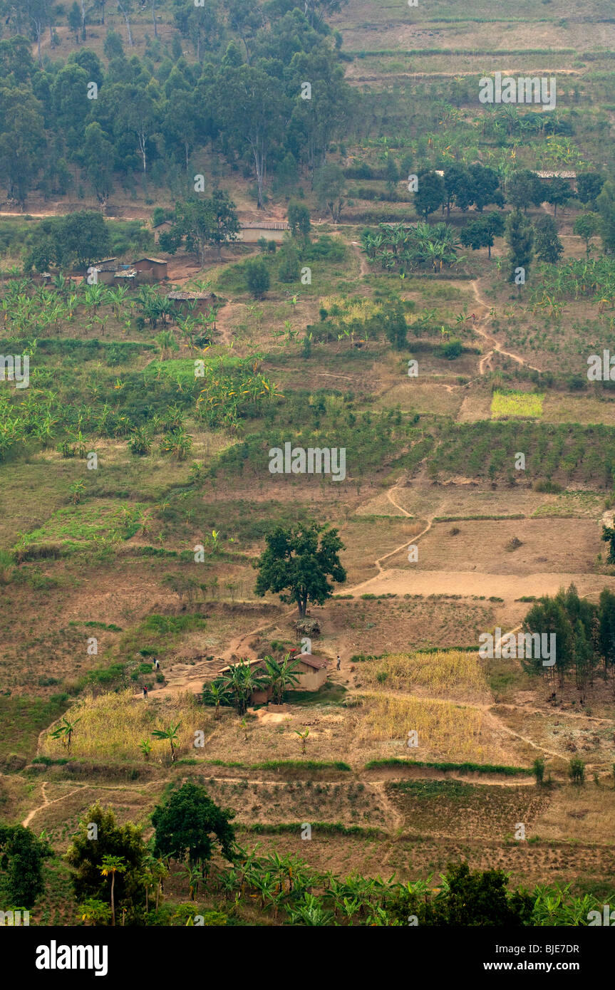 Terrace Farming Rwanda High Resolution Stock Photography and Images - Alamy