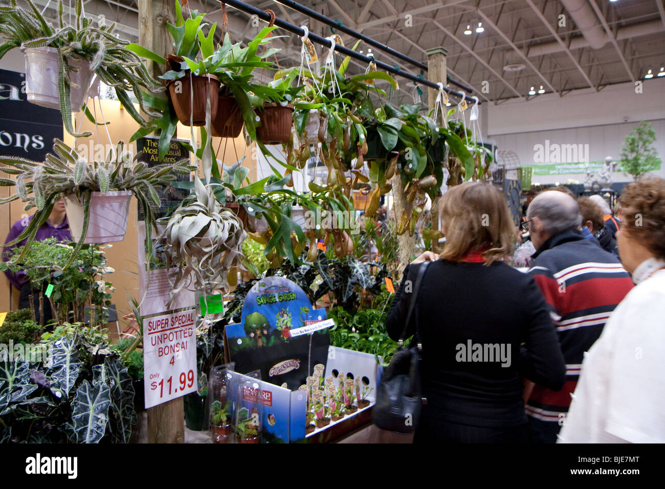 Show plants hi-res stock photography and images - Alamy