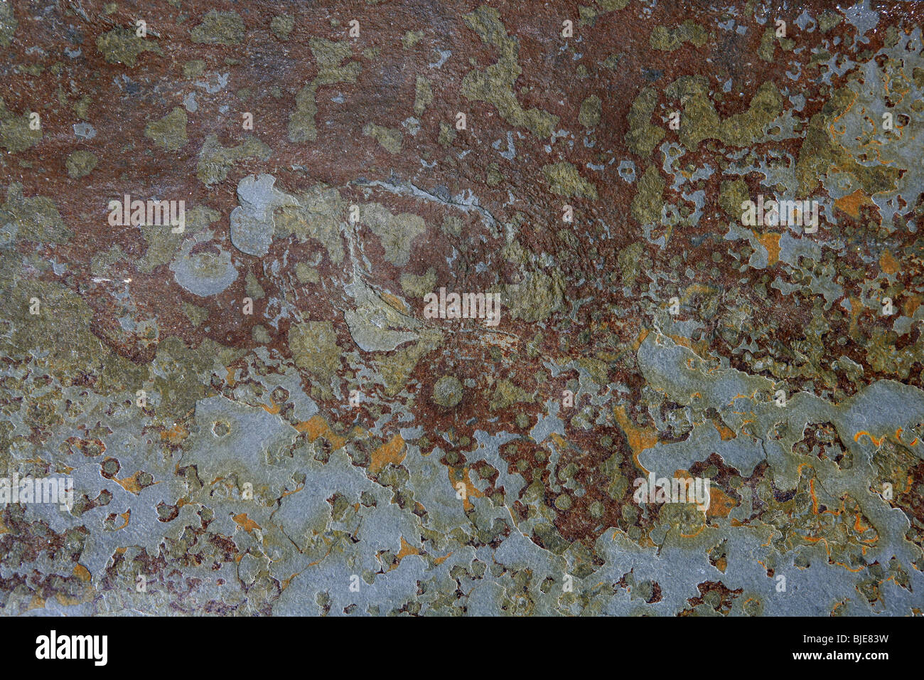 Slate stone background texture rusty orange and gray Stock Photo - Alamy