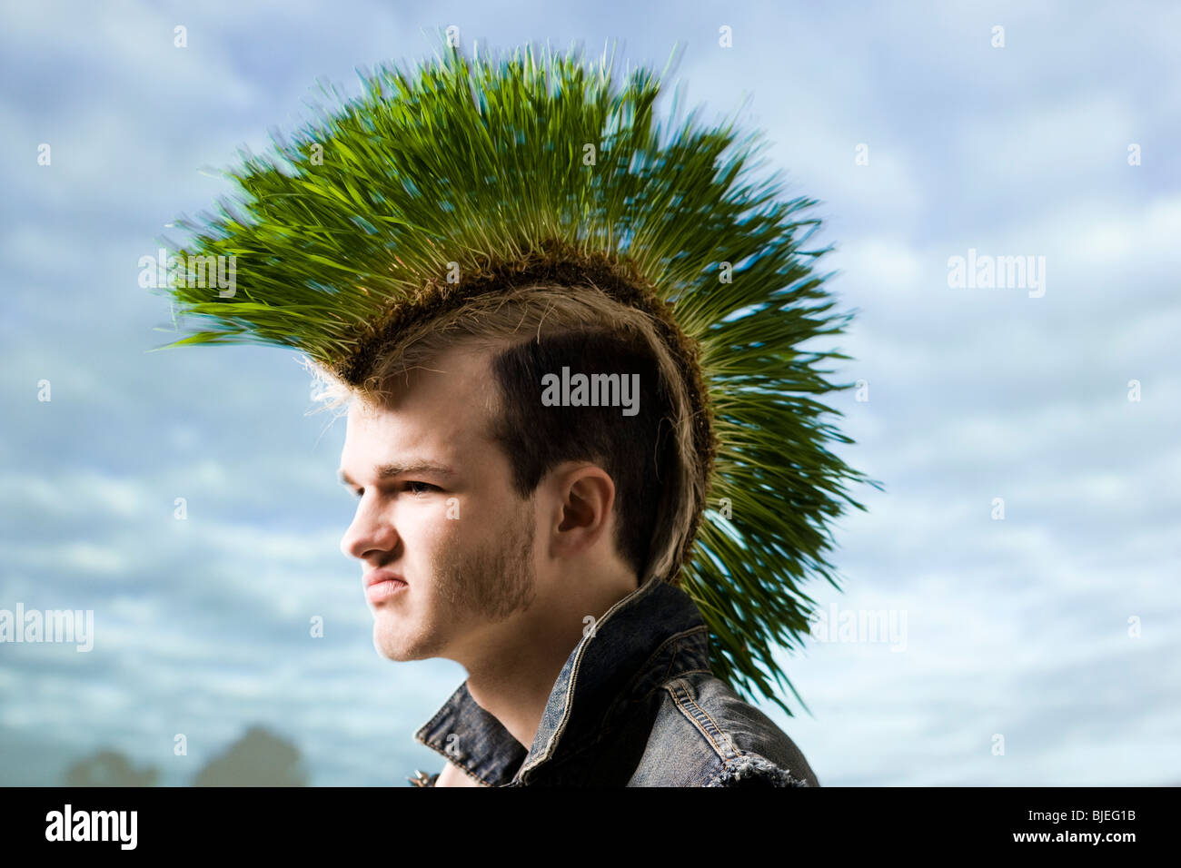 Punk rock blue mohawk hi-res stock photography and images - Alamy