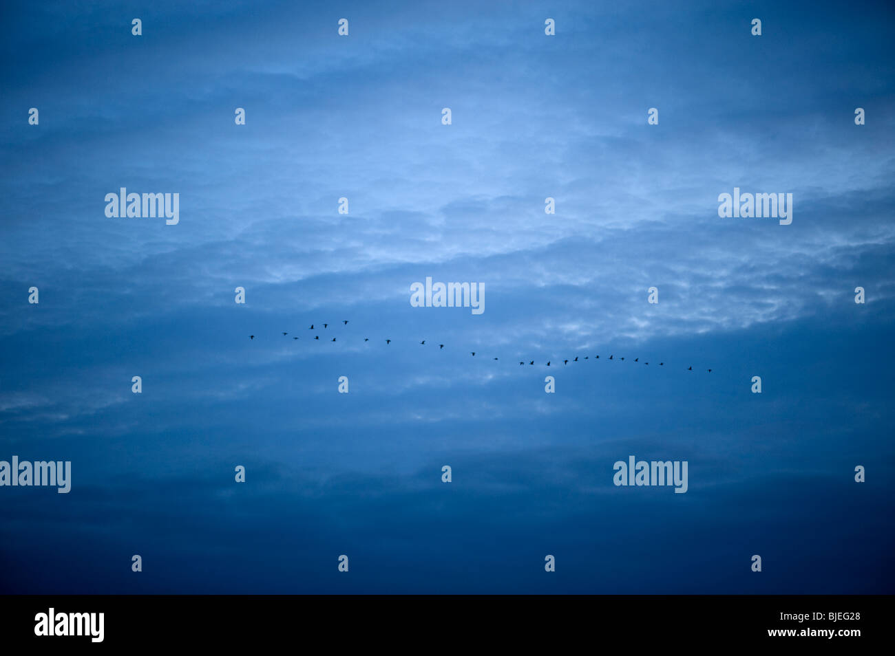 Balticsea hi-res stock photography and images - Alamy
