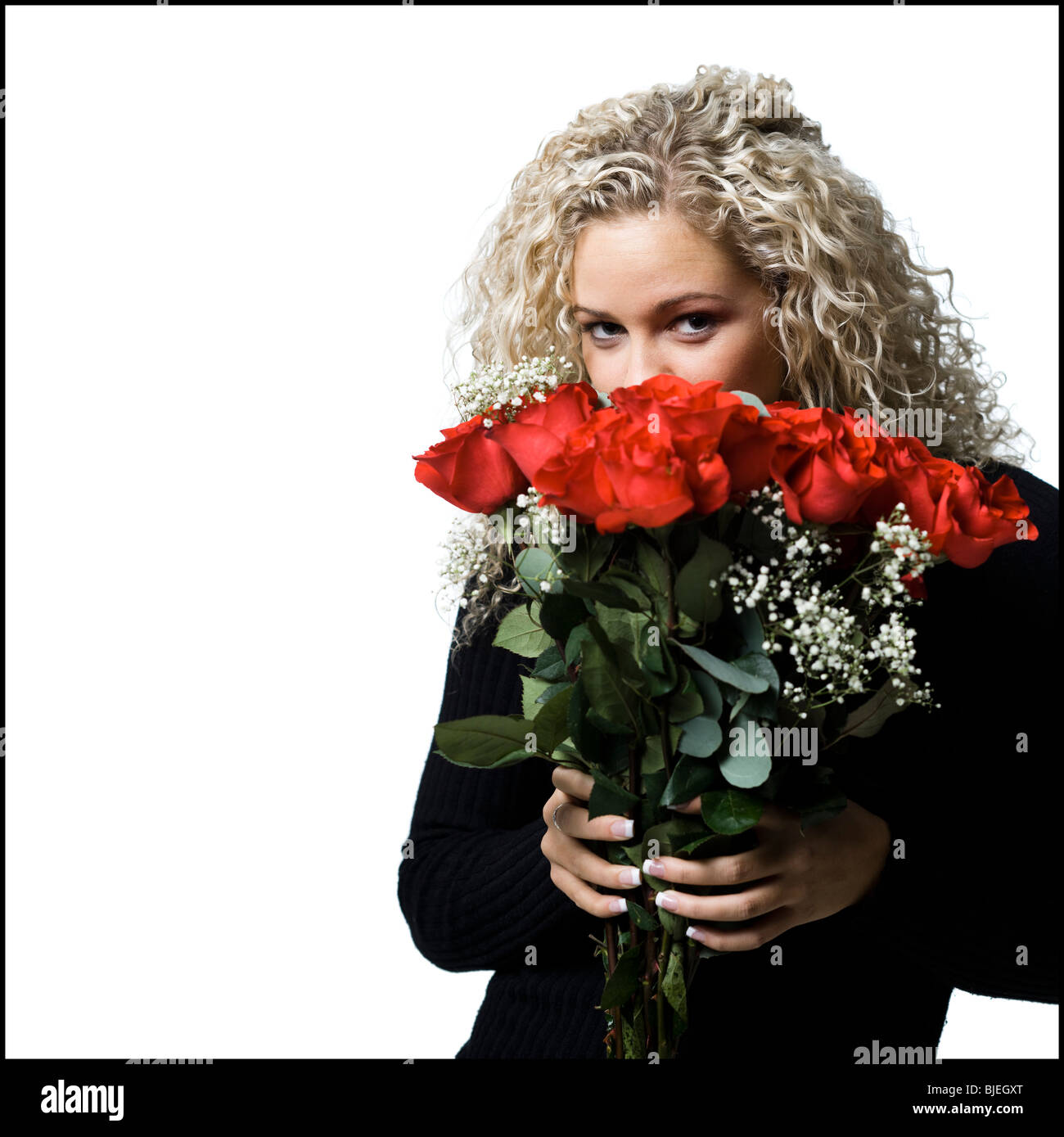 Only roses hi-res stock photography and images - Alamy