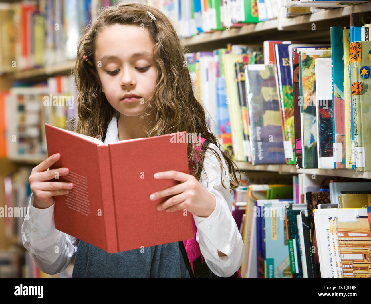 in the library Stock Photo - Alamy