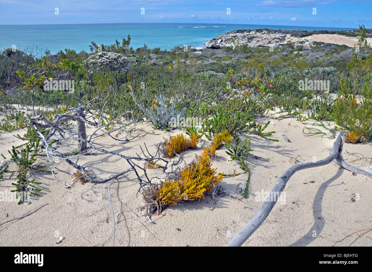 Arniston western cape hi-res stock photography and images - Alamy