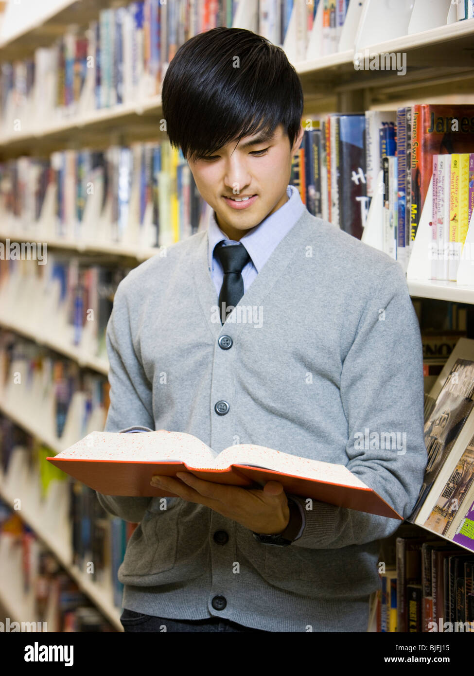 in the library Stock Photo - Alamy