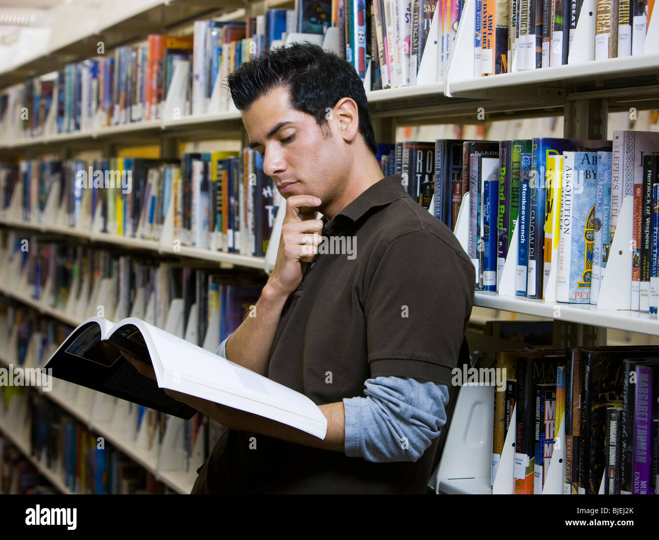 in the library Stock Photo - Alamy