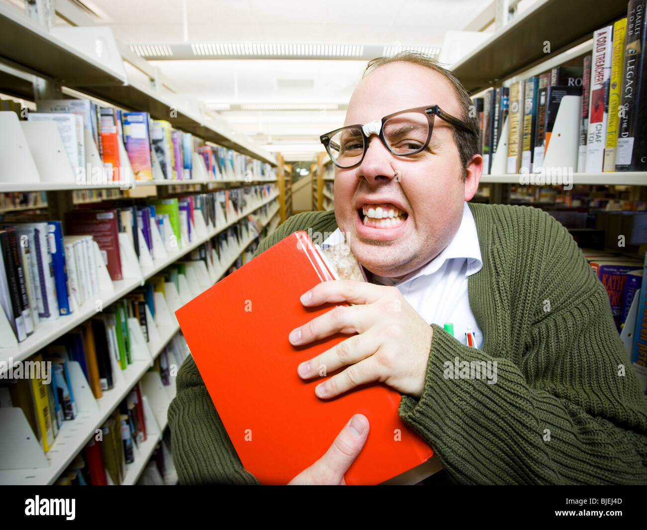 in the library Stock Photo - Alamy