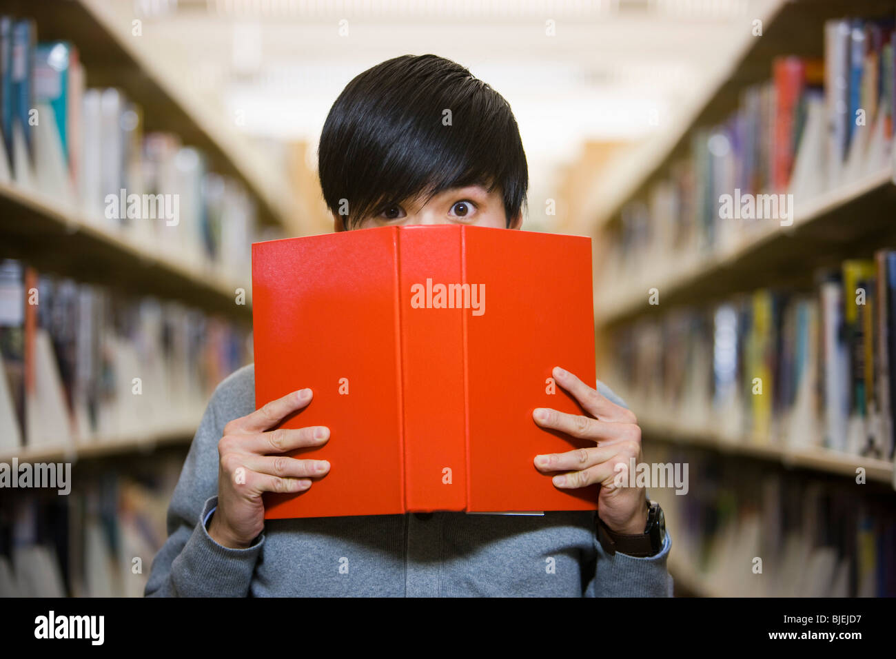 in the library Stock Photo - Alamy