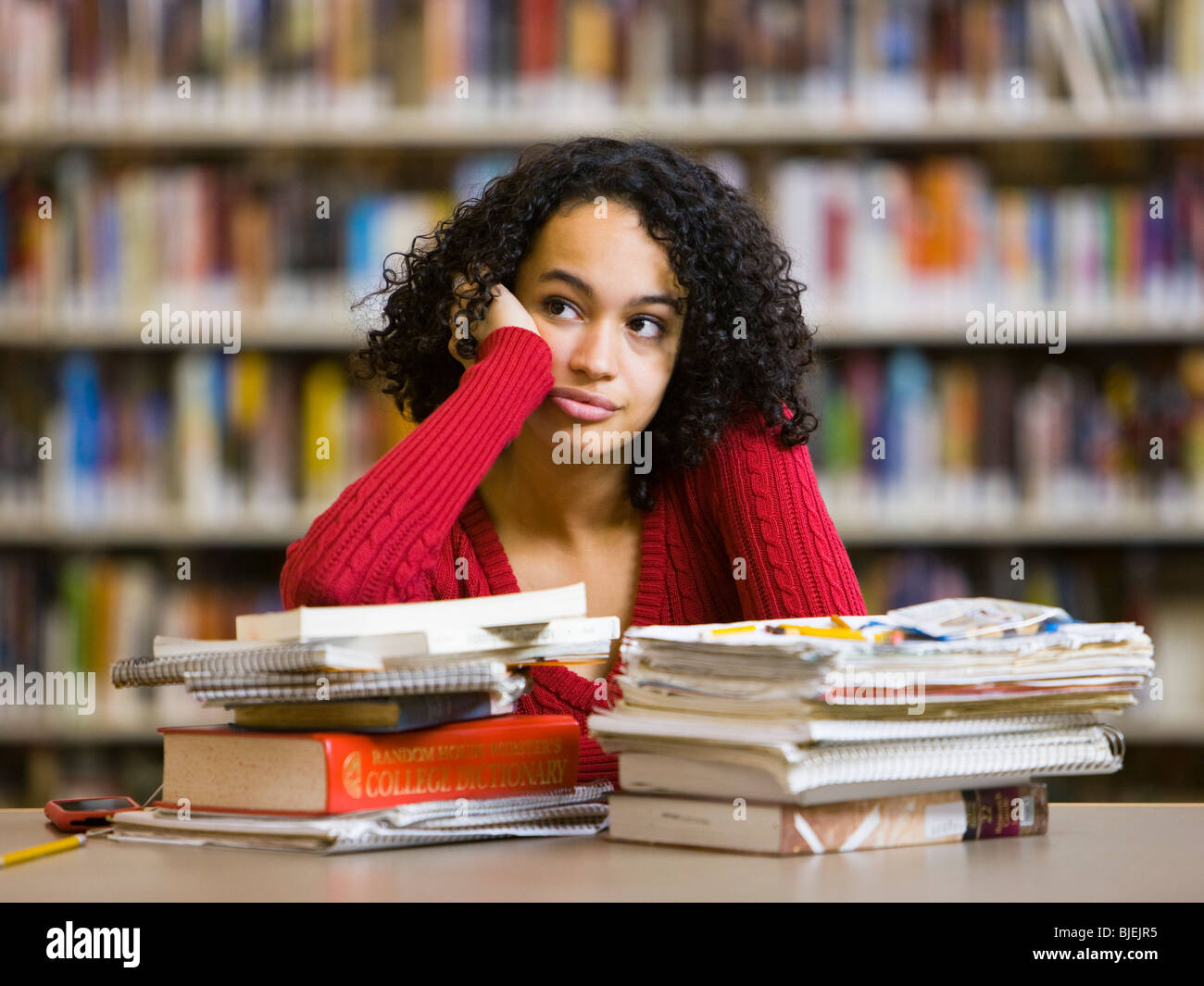 in the library Stock Photo - Alamy