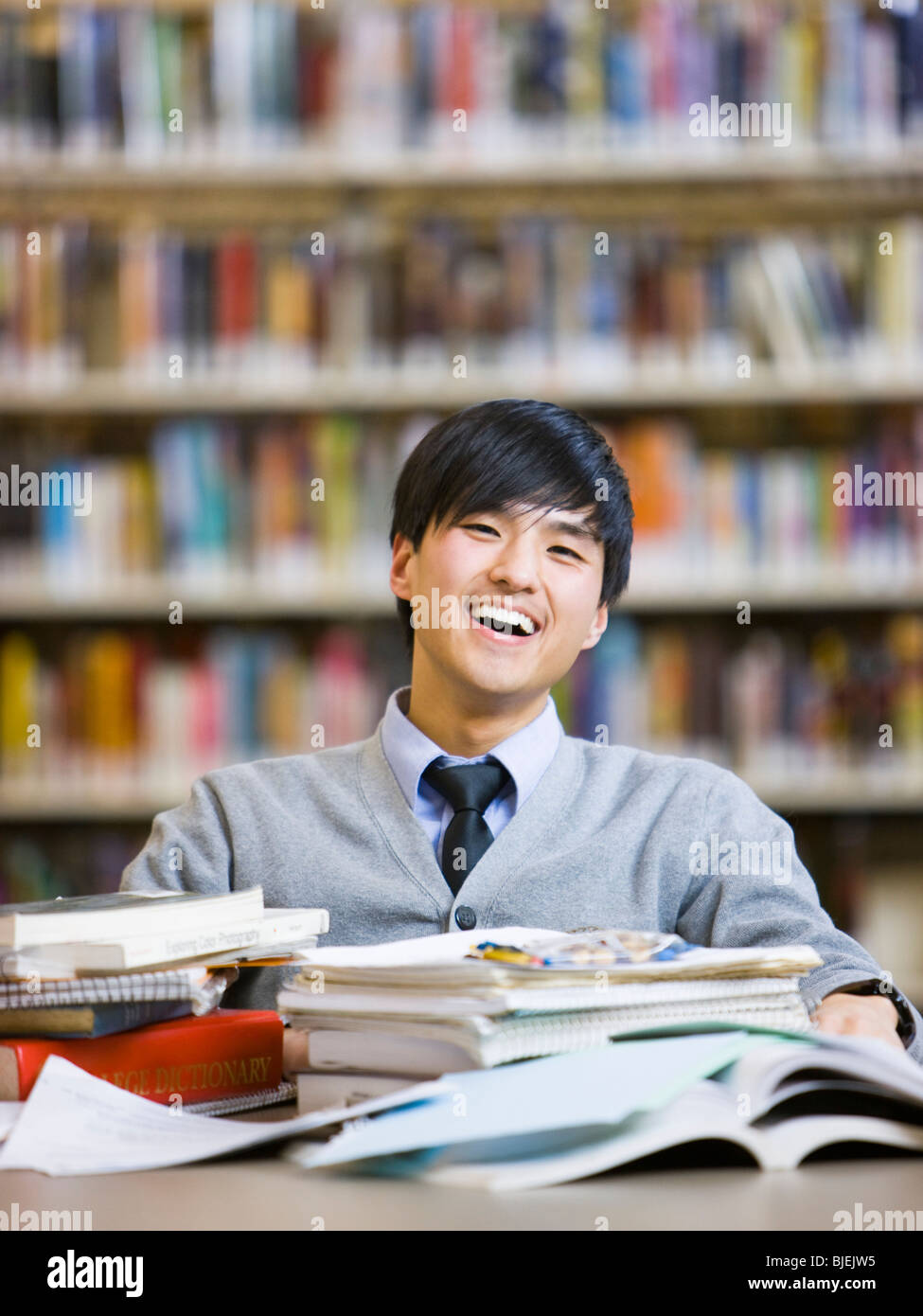 in the library Stock Photo - Alamy