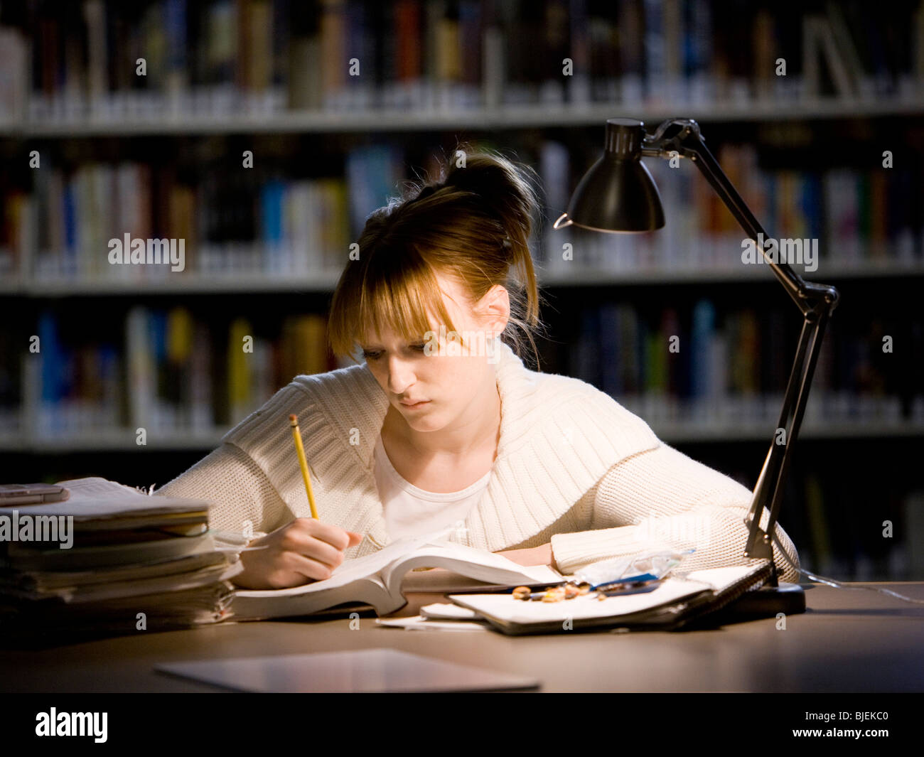 in the library Stock Photo - Alamy