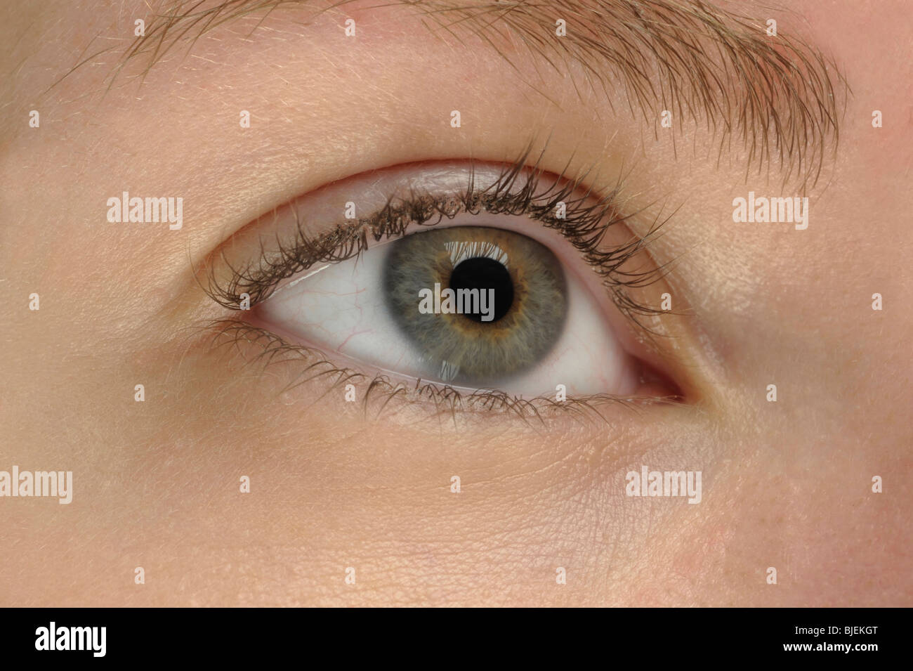 Female Eye No Makeup | Makeupview.co