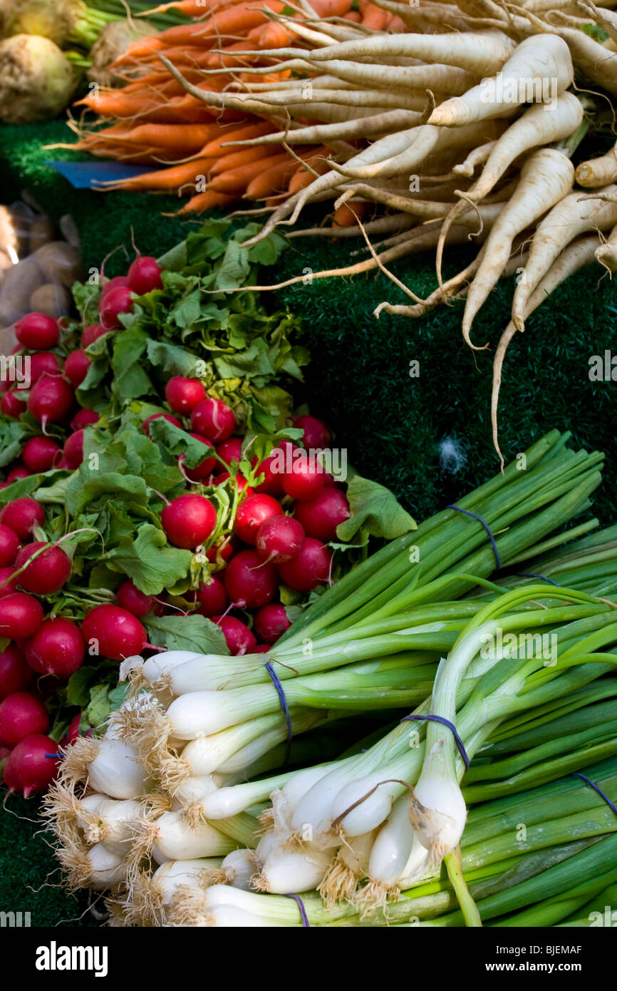 Bunches of vegetables, high angle view Stock Photo - Alamy