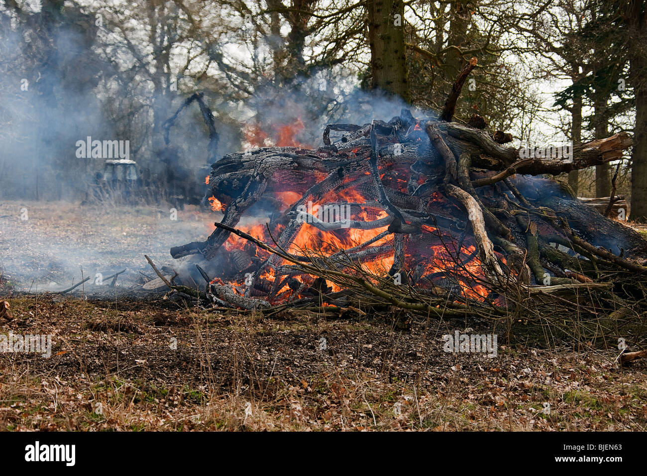 Country estate burning trees and brush ready for spring. Norfolk. UK ...
