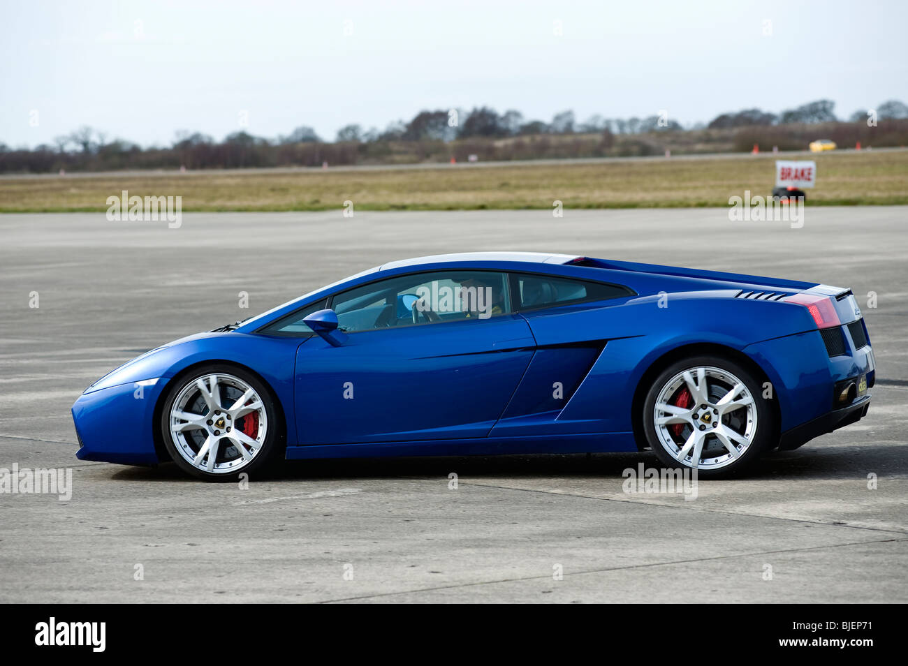 Dark Blue Lamborghini Gallardo