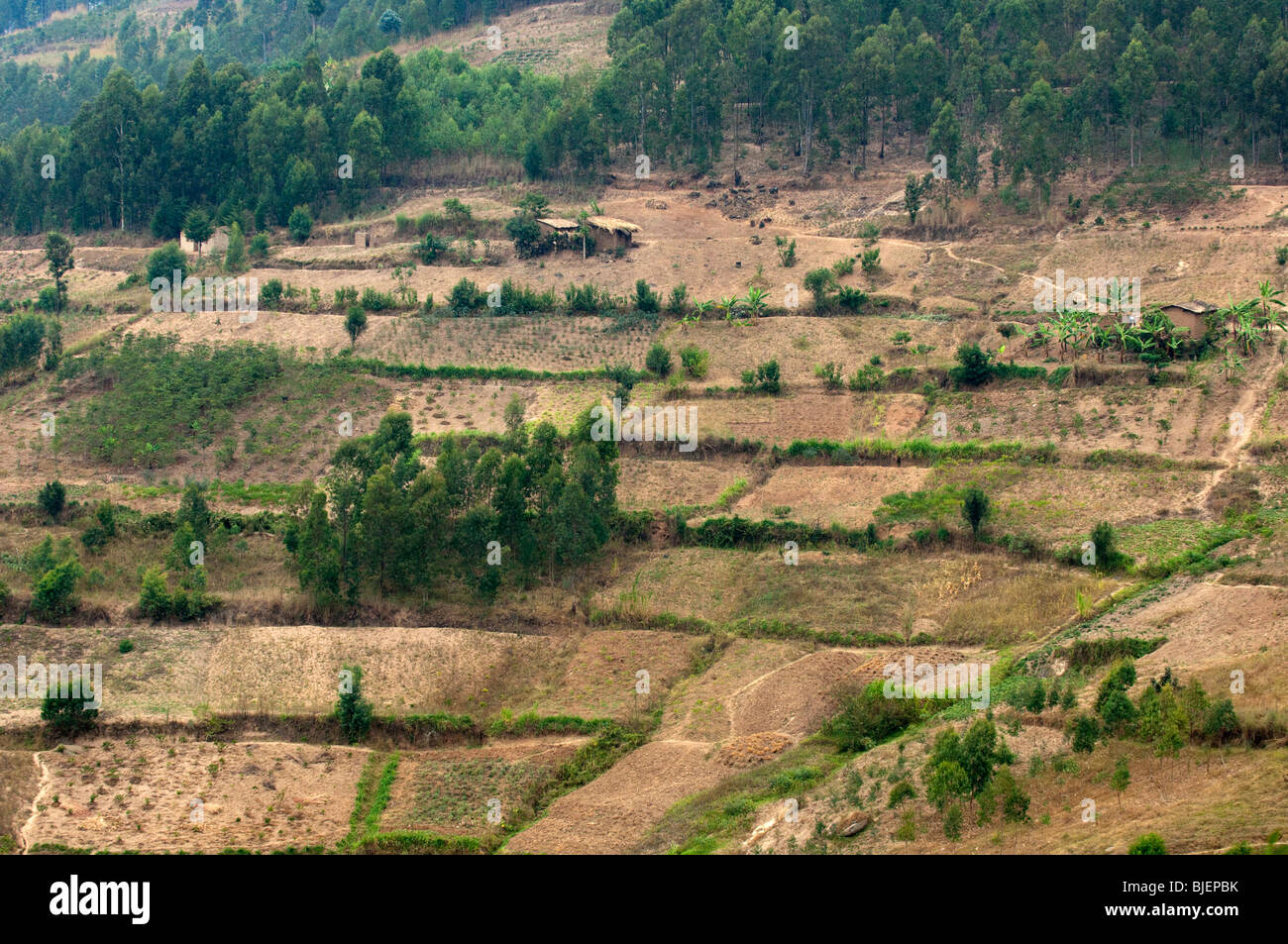 Terrace farming rwanda hi-res stock photography and images - Alamy