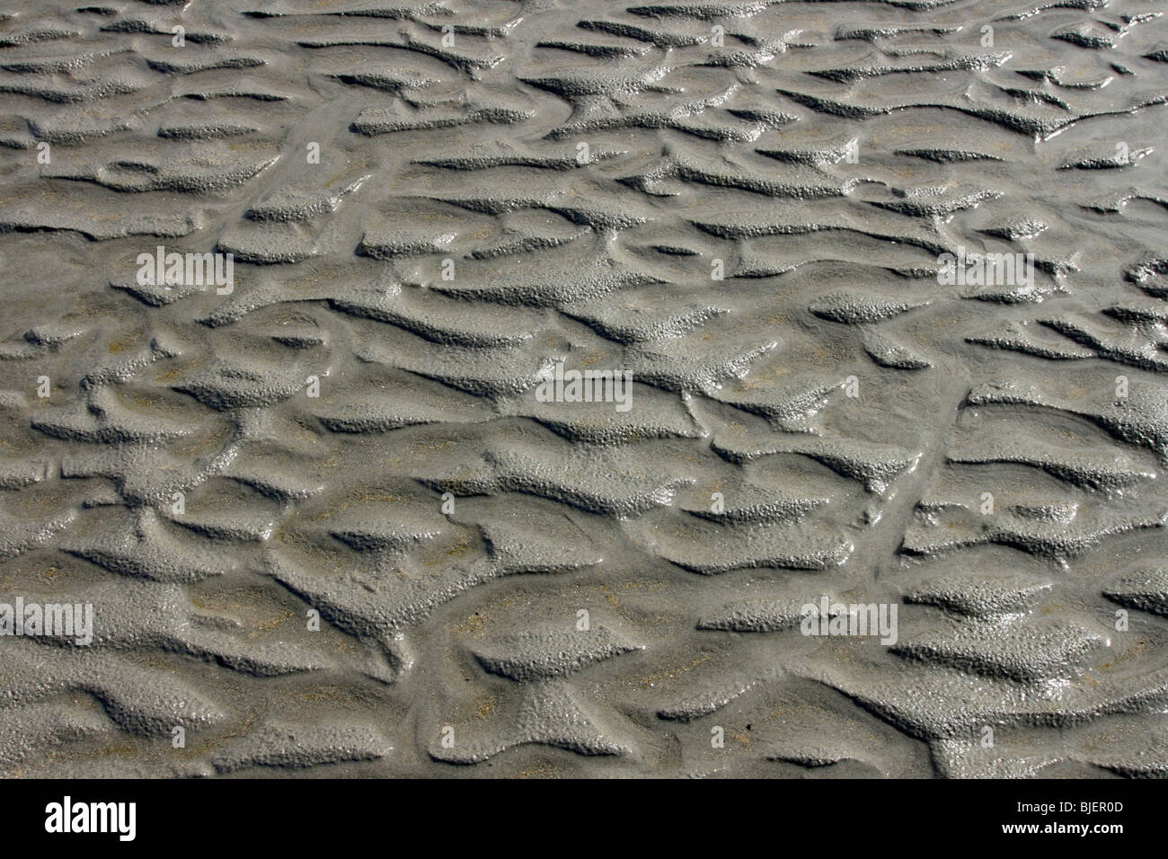 Ridges In Sand High Resolution Stock Photography and Images - Alamy