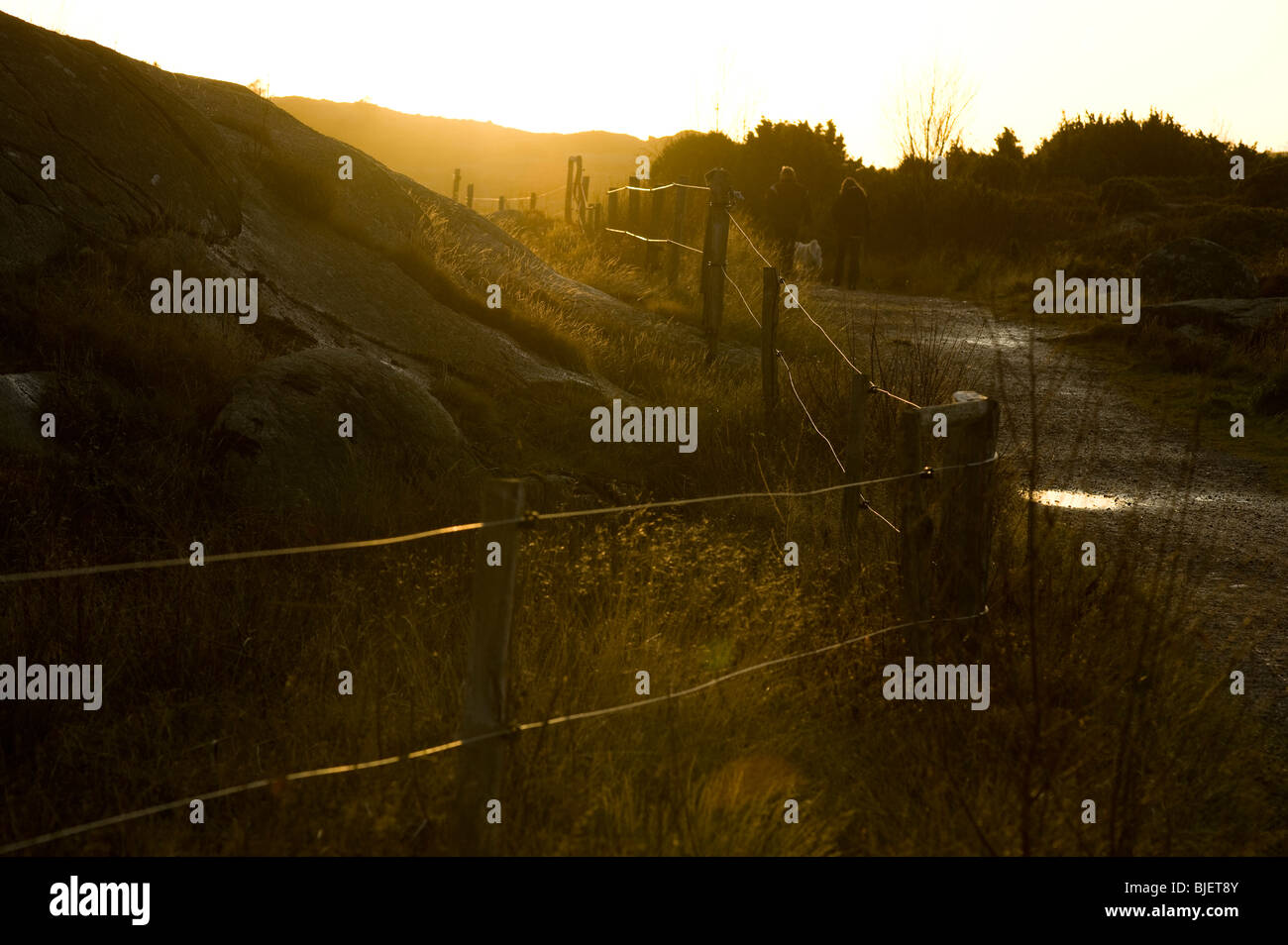 Path with fence hi-res stock photography and images - Alamy