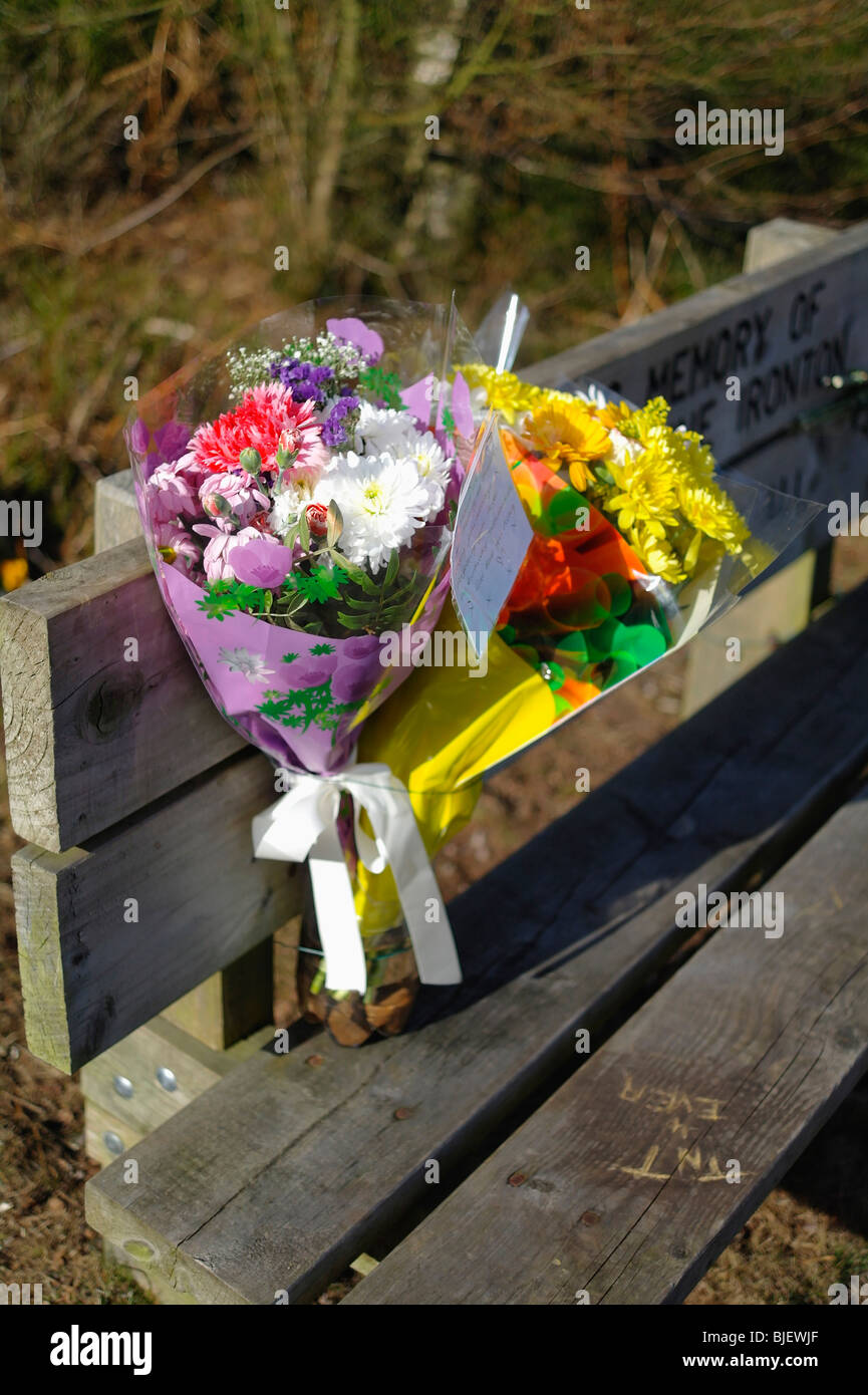 flowers on bench Stock Photo - Alamy