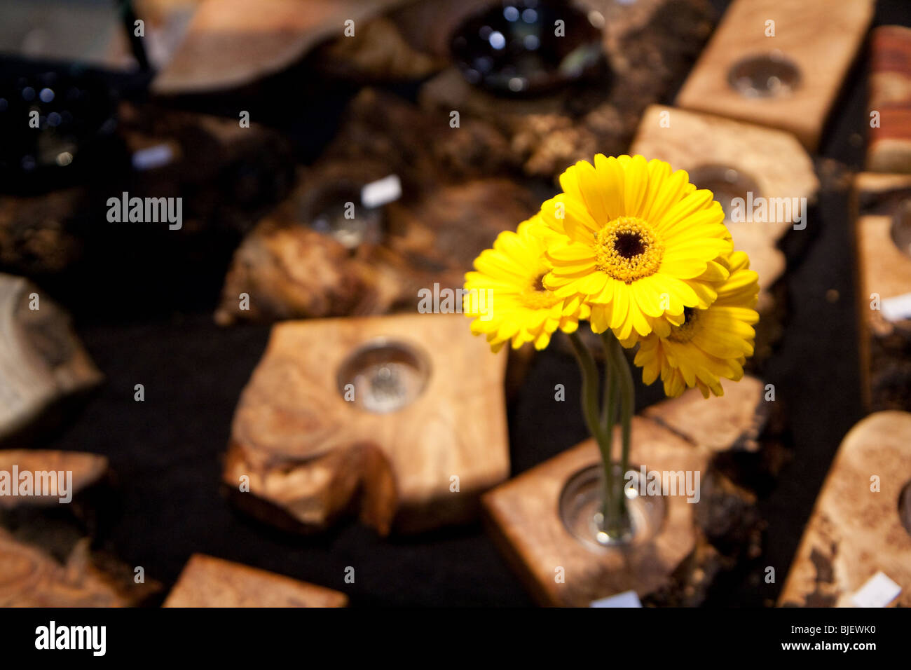 Short stem hi-res stock photography and images - Alamy