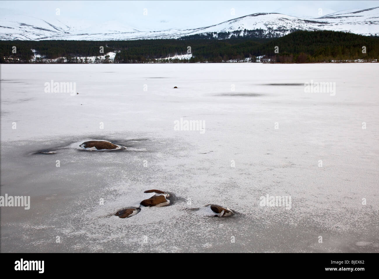 Loch Morlich and the Cairngorm In Winter Stock Photo - Alamy