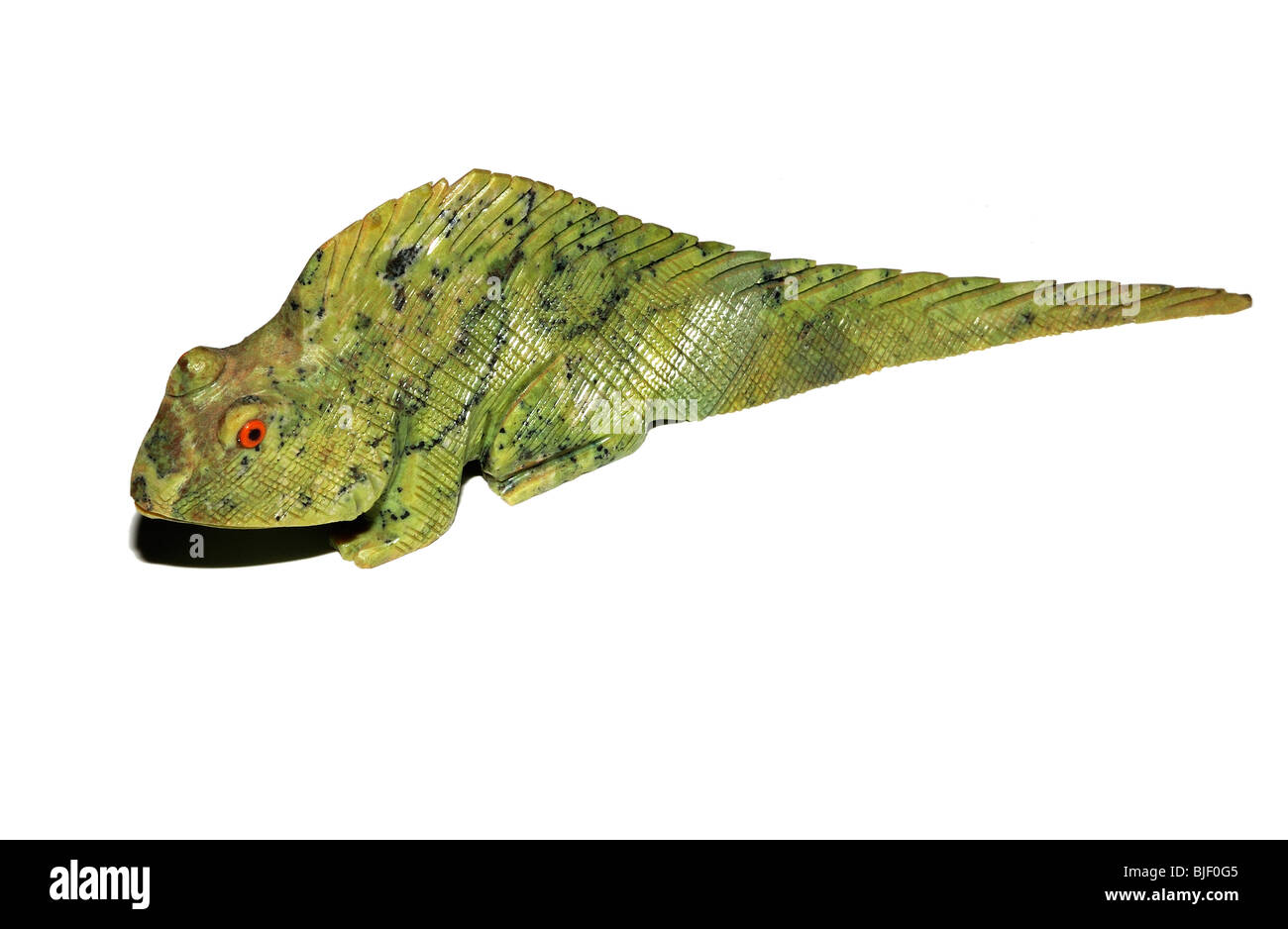 Green iguana Cut Out Stock Images & Pictures - Alamy