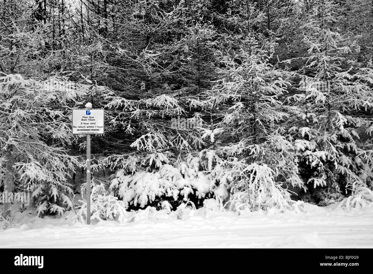 No Over Night Parking Sign Post in Snowbound Layby in Scotland Stock ...