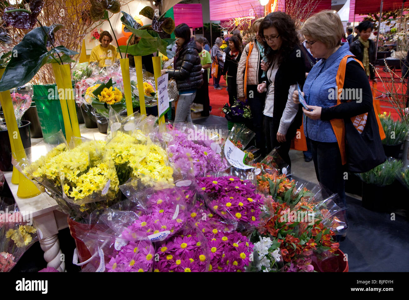 Canada Blooms Flower Show Stock Photos & Canada Blooms Flower Show ...