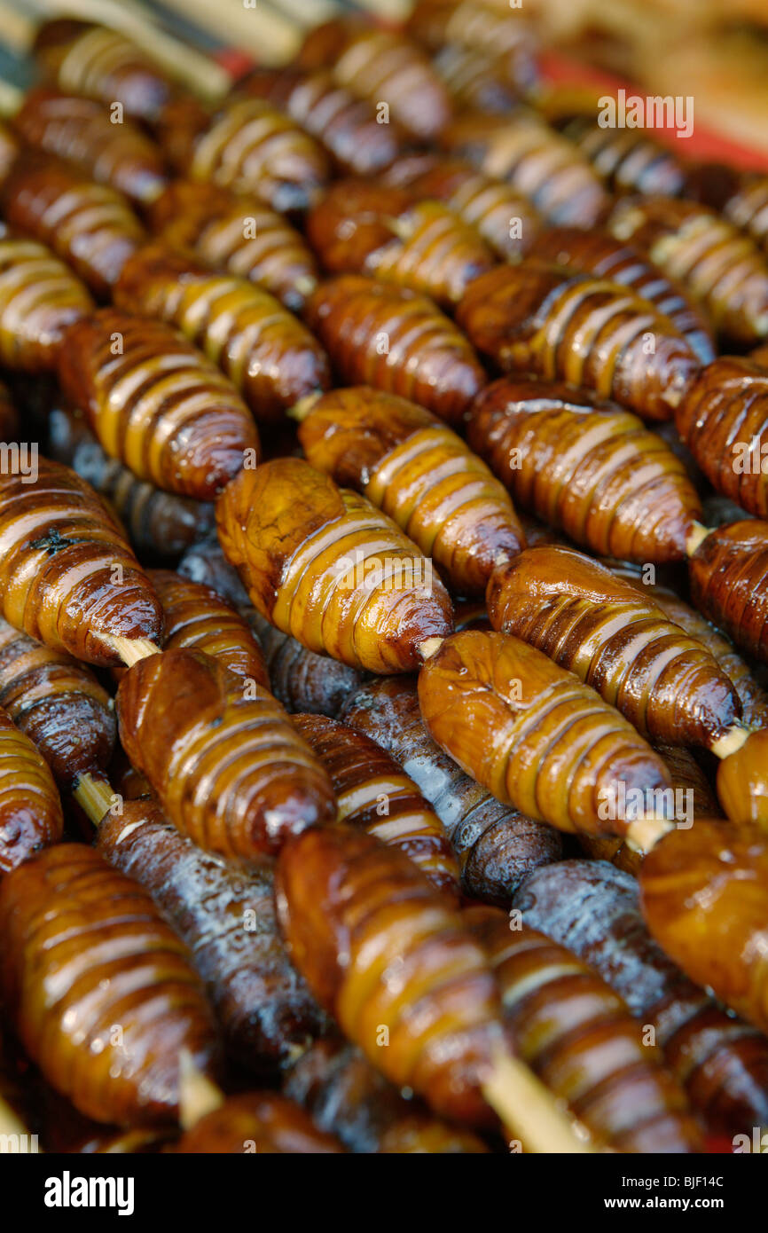 Fried catepillars are delicious at Wangfujing Street Market in Beijing ...