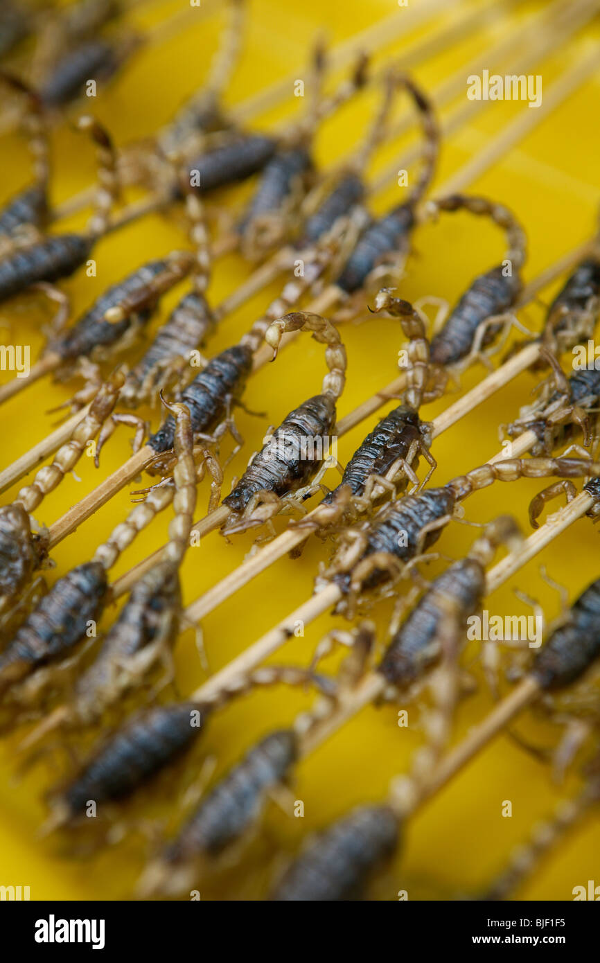 Fried scorpions are delicious at Wangfujing Street Market in Beijing ...