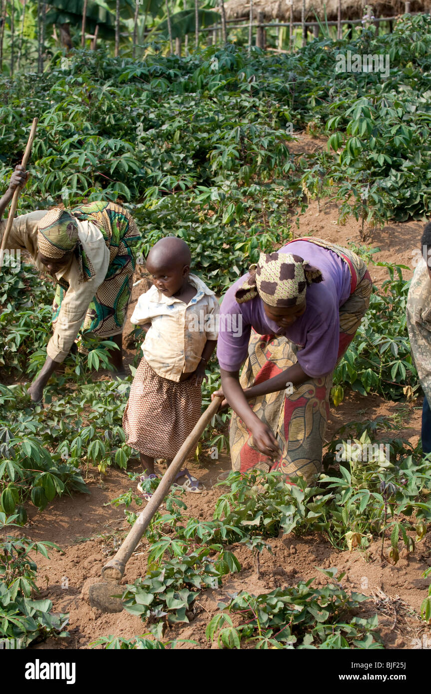 Africa farm hoe hi-res stock photography and images - Alamy