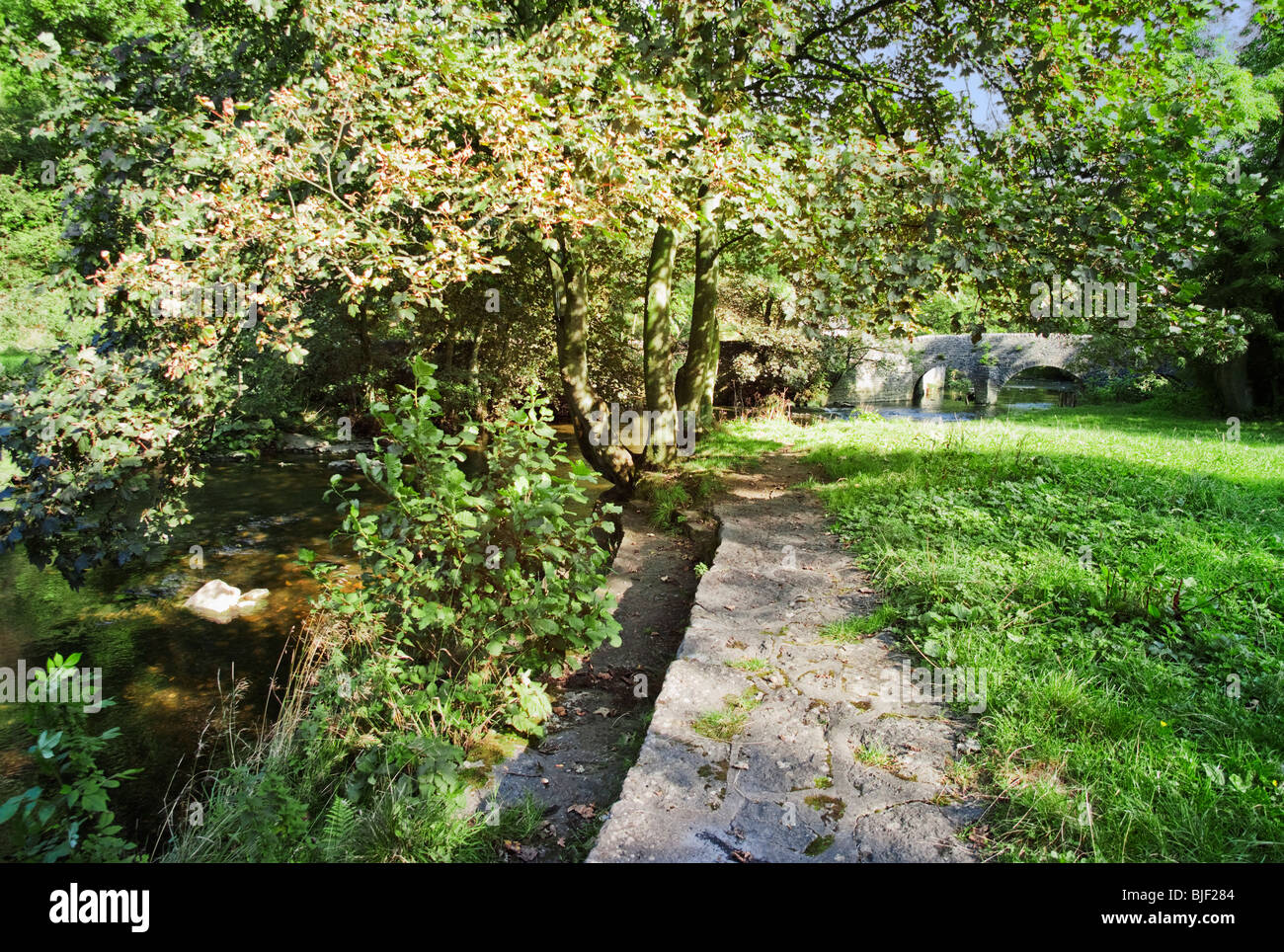 the river manifold at wettons mill in the peak district national park ...