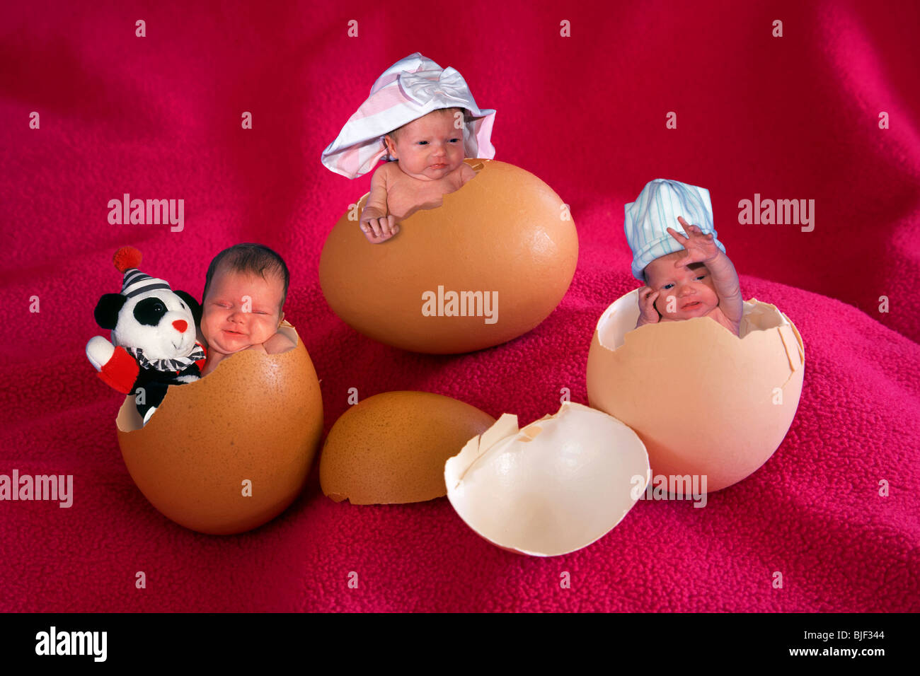 Babies in egg carton hi-res stock photography and images - Alamy