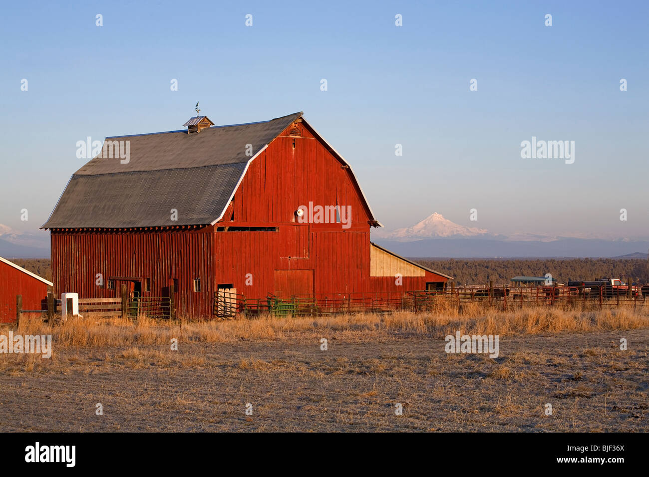 An old red barn with Mount Jefferson in the background, in central ...
