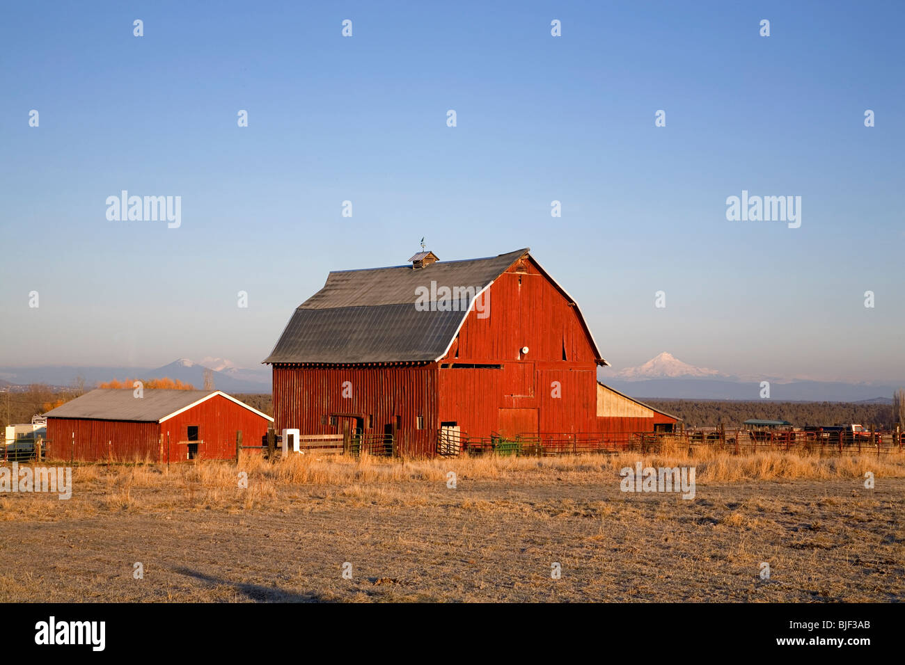 An old red barn with Mount Jefferson in the background, in central ...