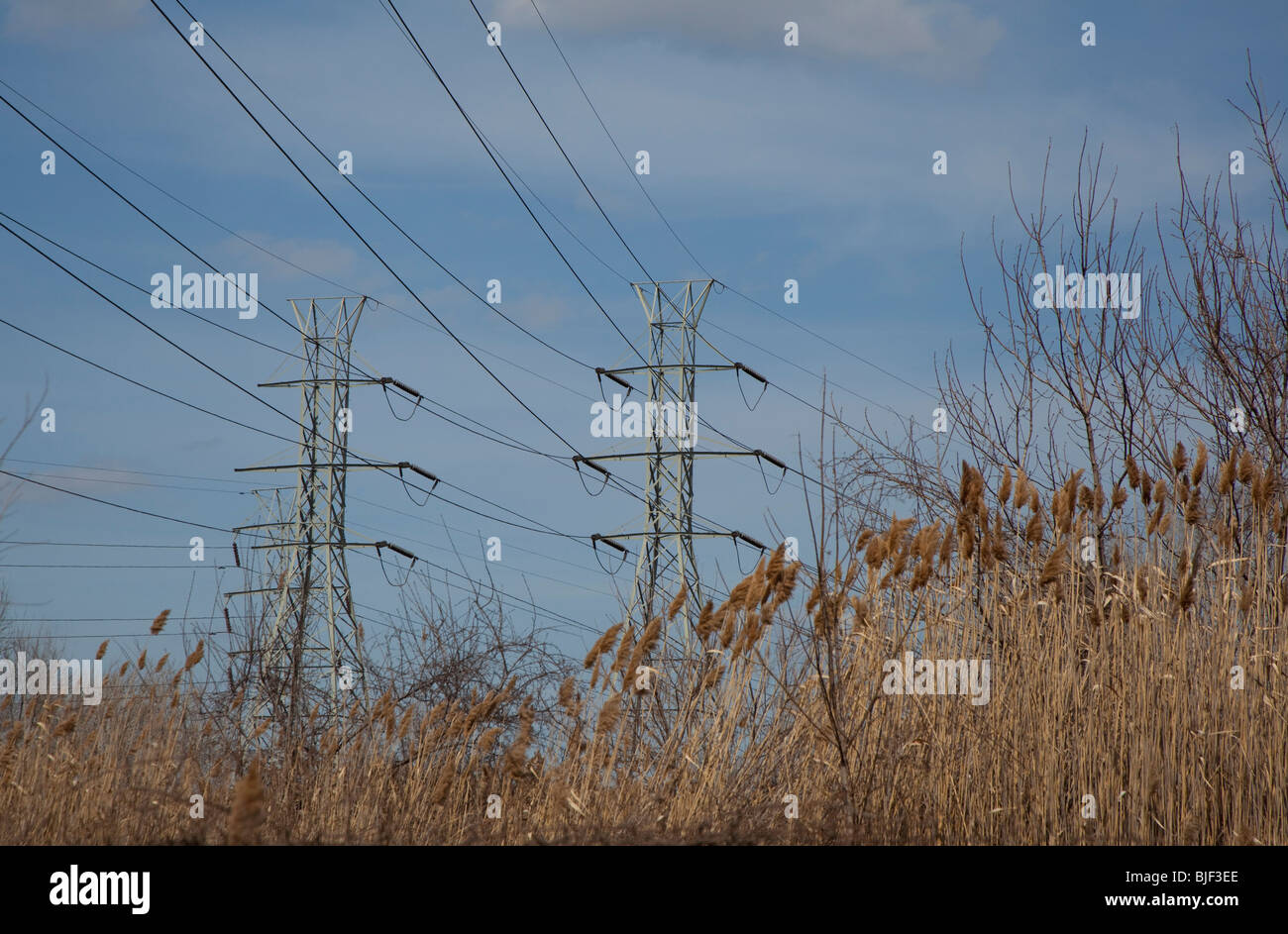 River Rouge, Michigan - A high voltage electricity transmission line in ...