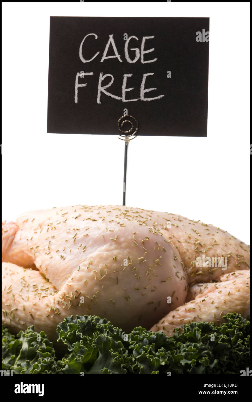 cage free chicken Stock Photo - Alamy