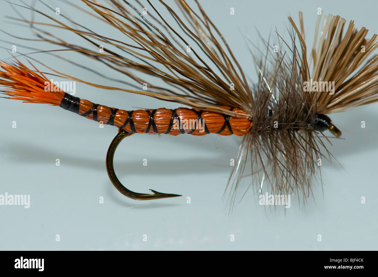 Brown trout fly hi-res stock photography and images - Alamy