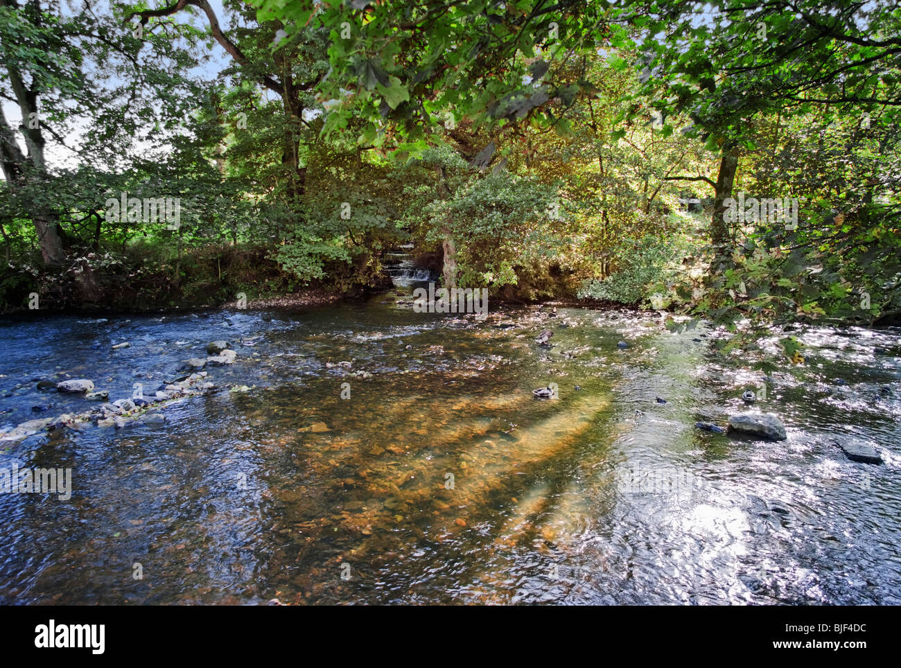 the river manifold at wettons mill in the peak district national park ...