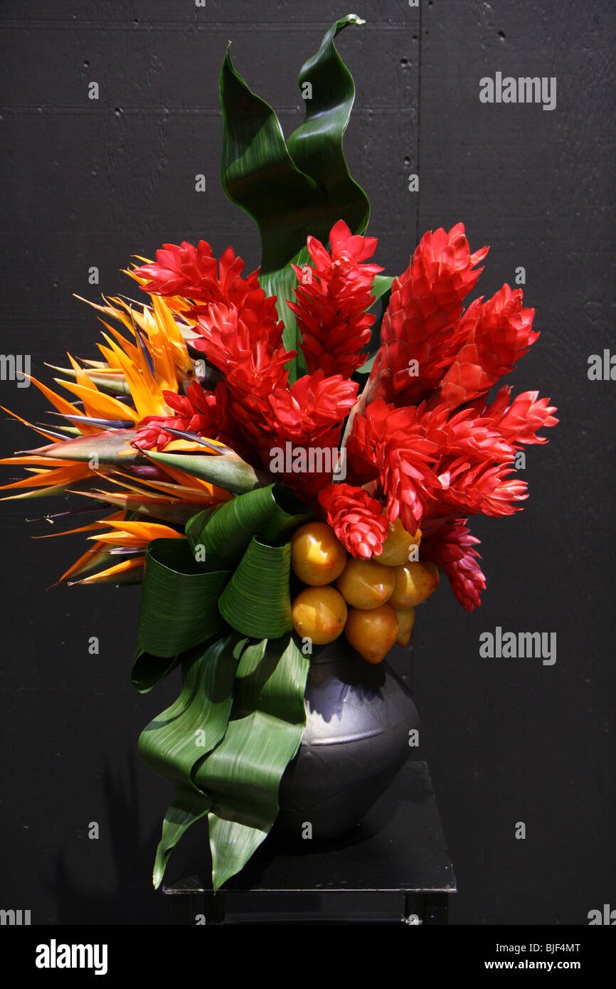 Strelitzia arrangement hi-res stock photography and images - Alamy