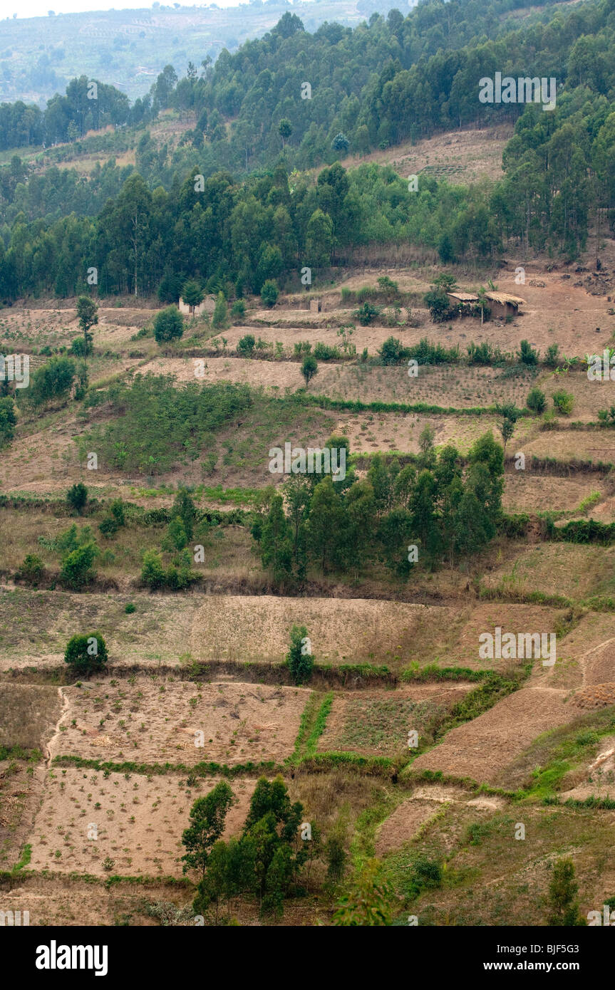 Terrace farming rwanda hi-res stock photography and images - Alamy