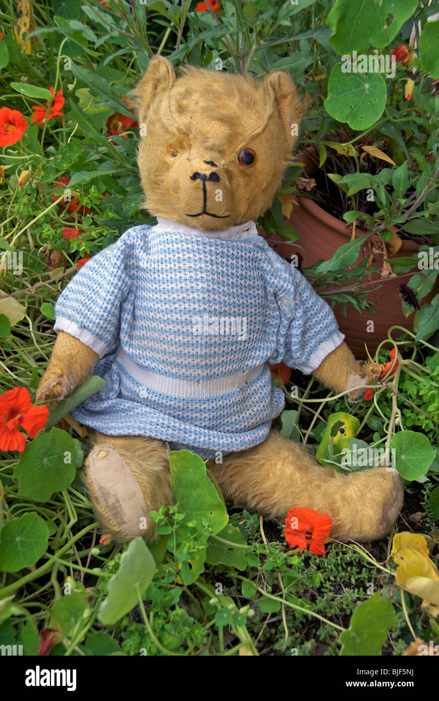 Old ted hi-res stock photography and images - Alamy