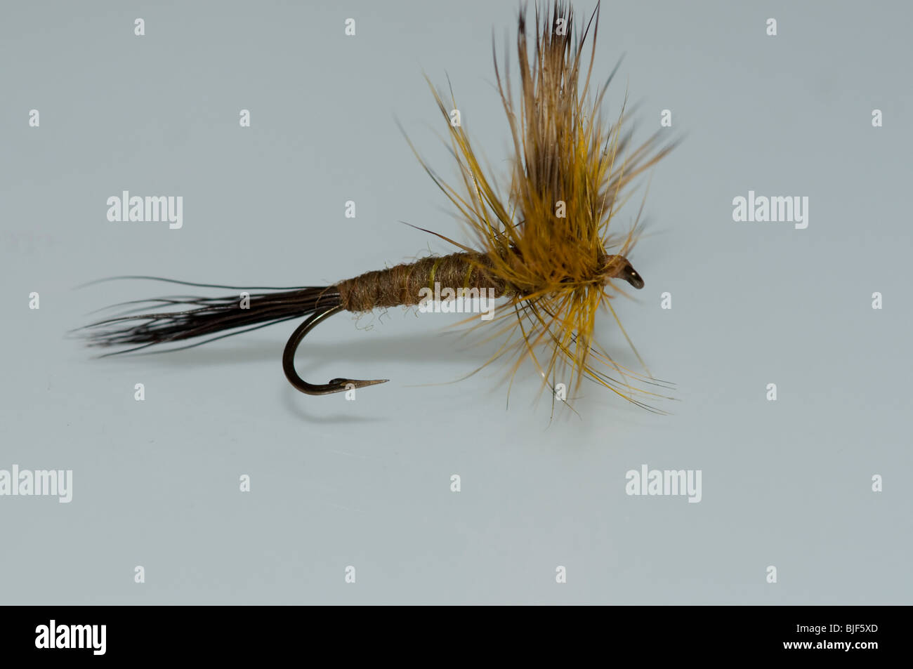 Brown trout fly hi-res stock photography and images - Alamy
