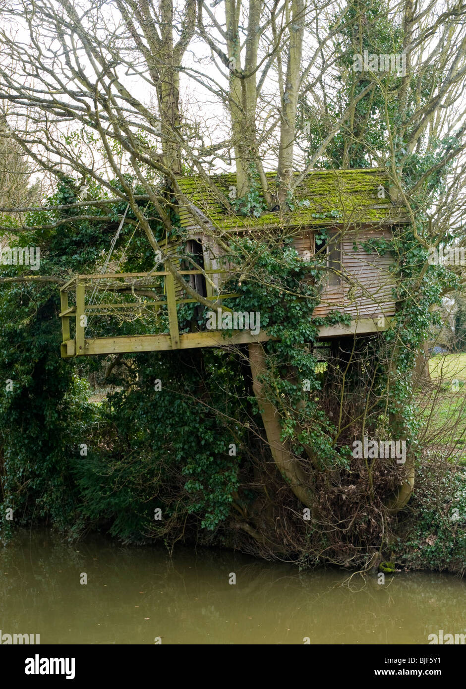 A moss covered tree house on the bank of the Oxford Canal near Lower ...