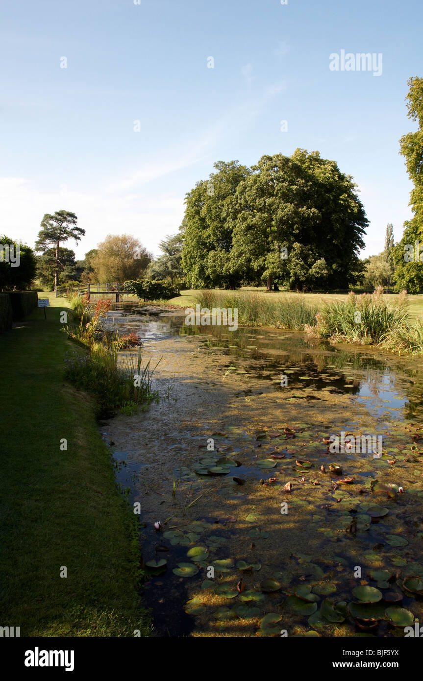 A stream in summer in the countryside Stock Photo - Alamy