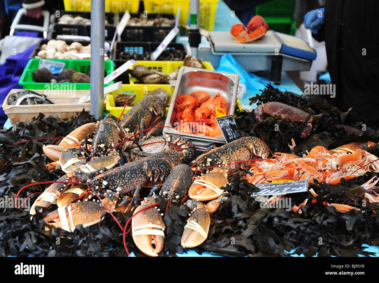 fish market in paris Stock Photo - Alamy