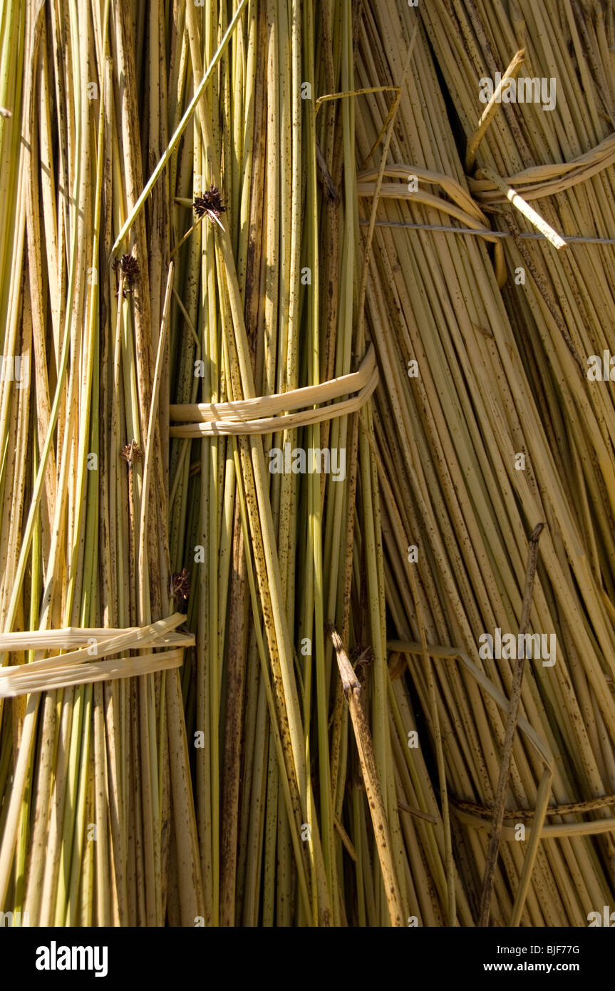 Bundles of Reeds on Floating Reed Island, Uros, Lake Titicaca, Peru ...