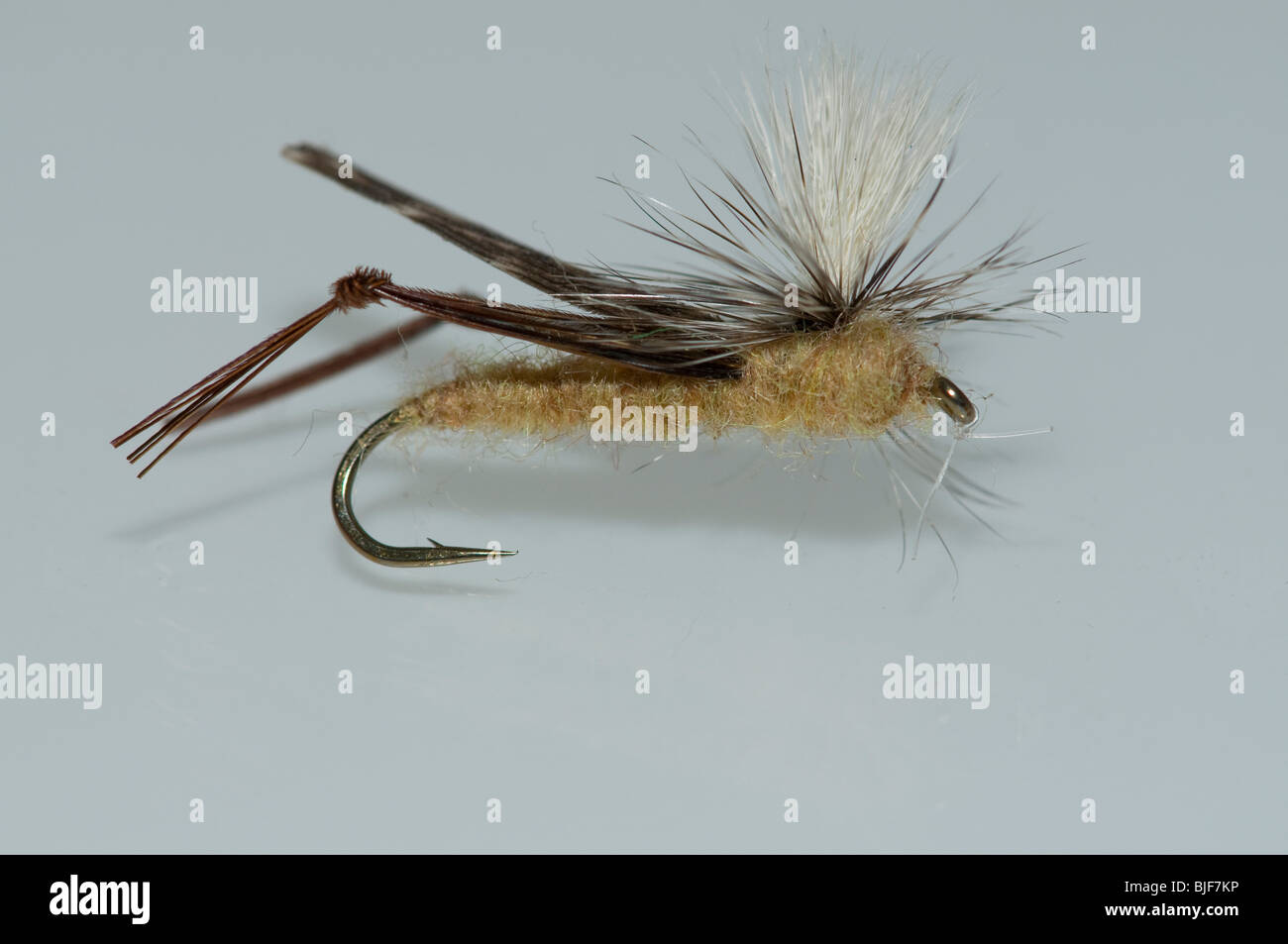 Hopper fly fishing hi-res stock photography and images - Alamy