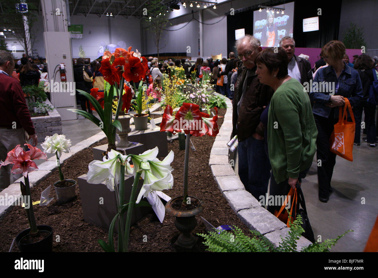 visitor watching flower plant display visitors flowers plants soil ...