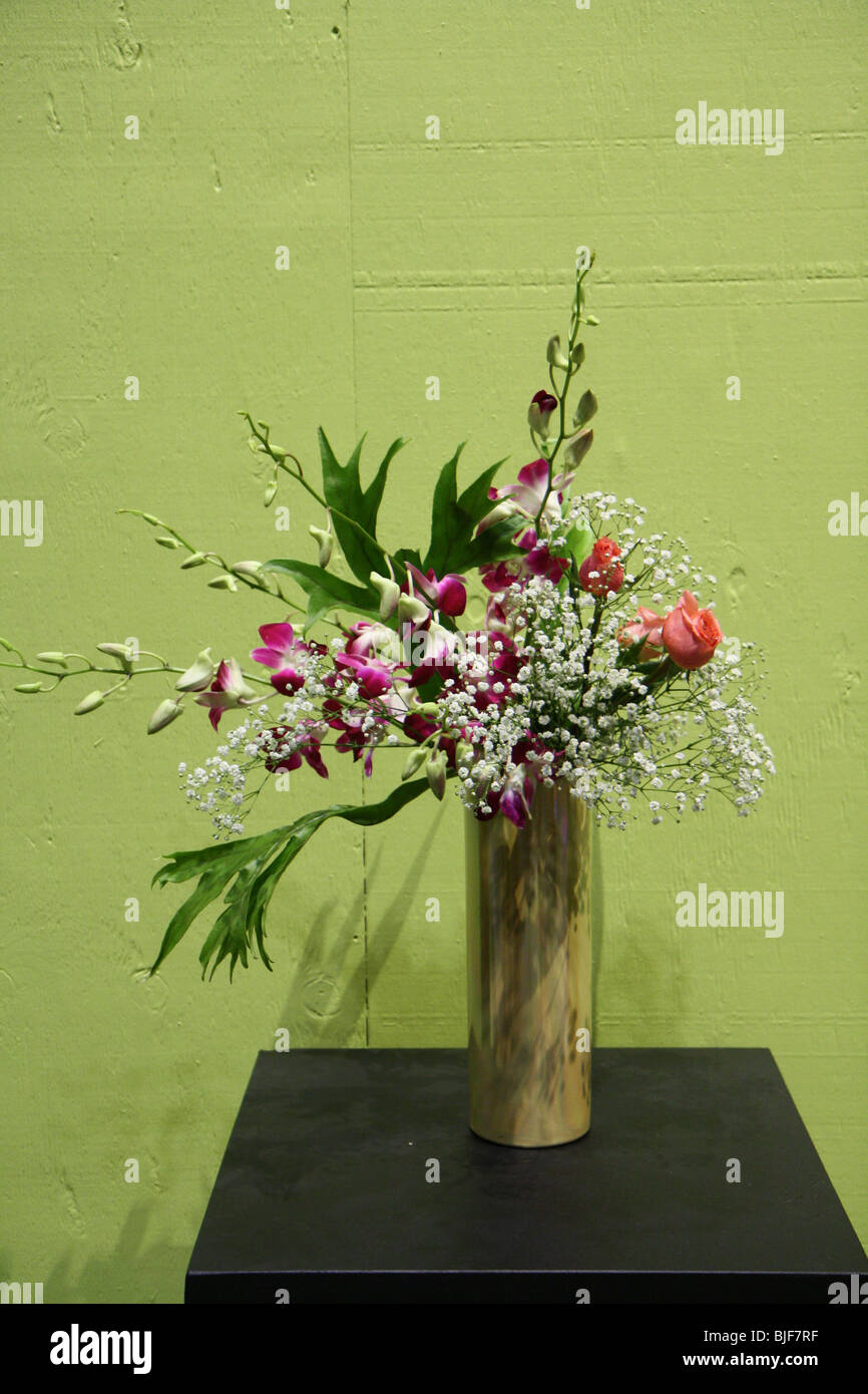 plant flower display green background natural Stock Photo - Alamy